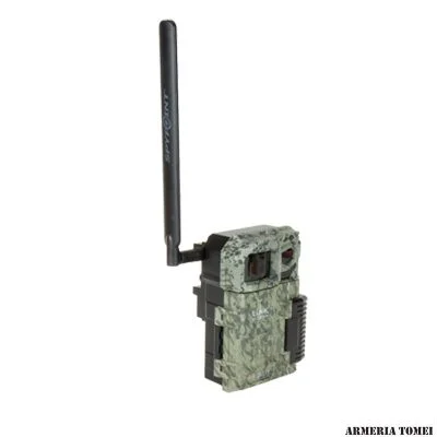 Fototrappole | Armeria Tomei