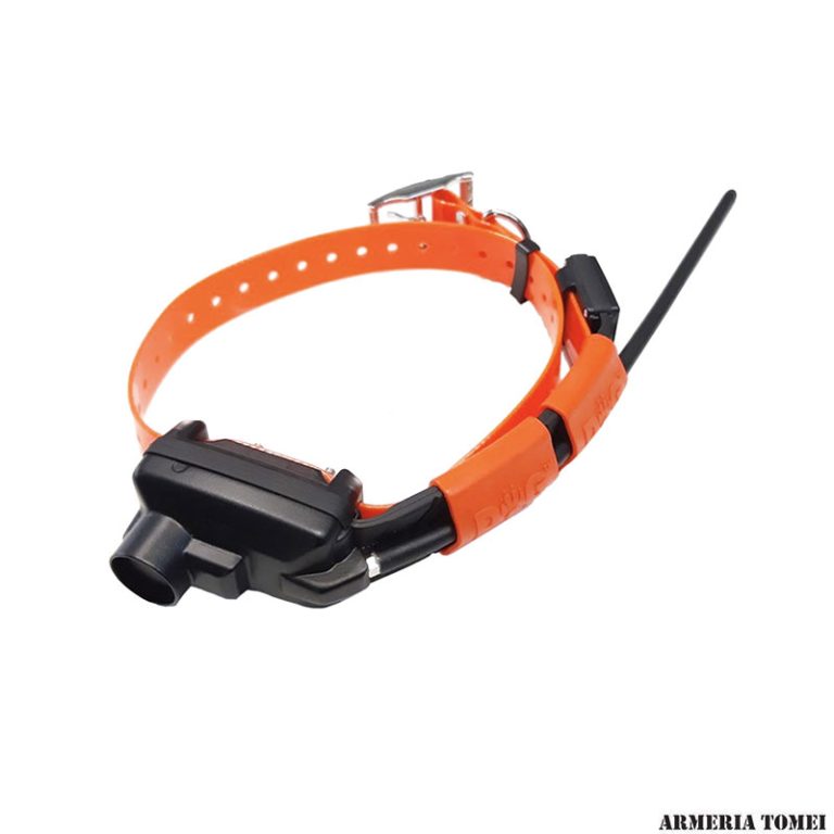 OFFERTA GARMIN – KIT ATEMOS 100 – KT15 CON COLLARE K5 IN OMAGGIO ...